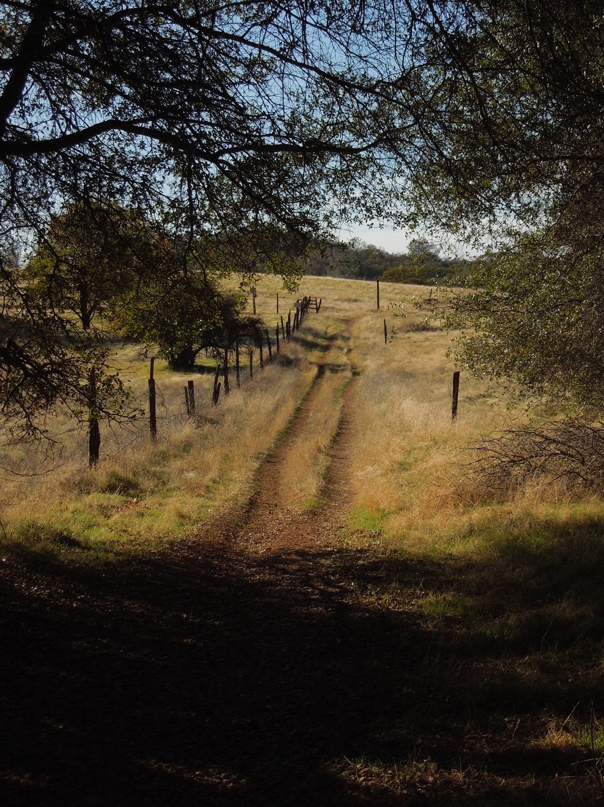Peachy Hiker: Olmstead Knickerbocker Trails