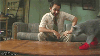 Jamie's blog: FUN : Photo/GIF débile du jour