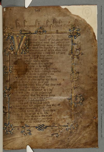 Memory Green / Emlékvirágzás: Geoffrey Chaucer (1343-1400)