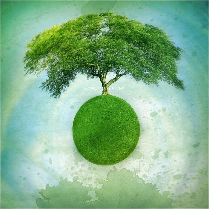 Earth Day Celebration Essay Contest earth-day-celebration-essay-contest