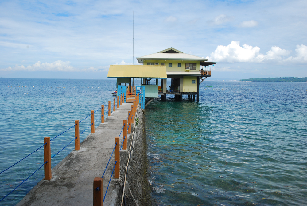 Make It Davao: Maxima Aqua Fun