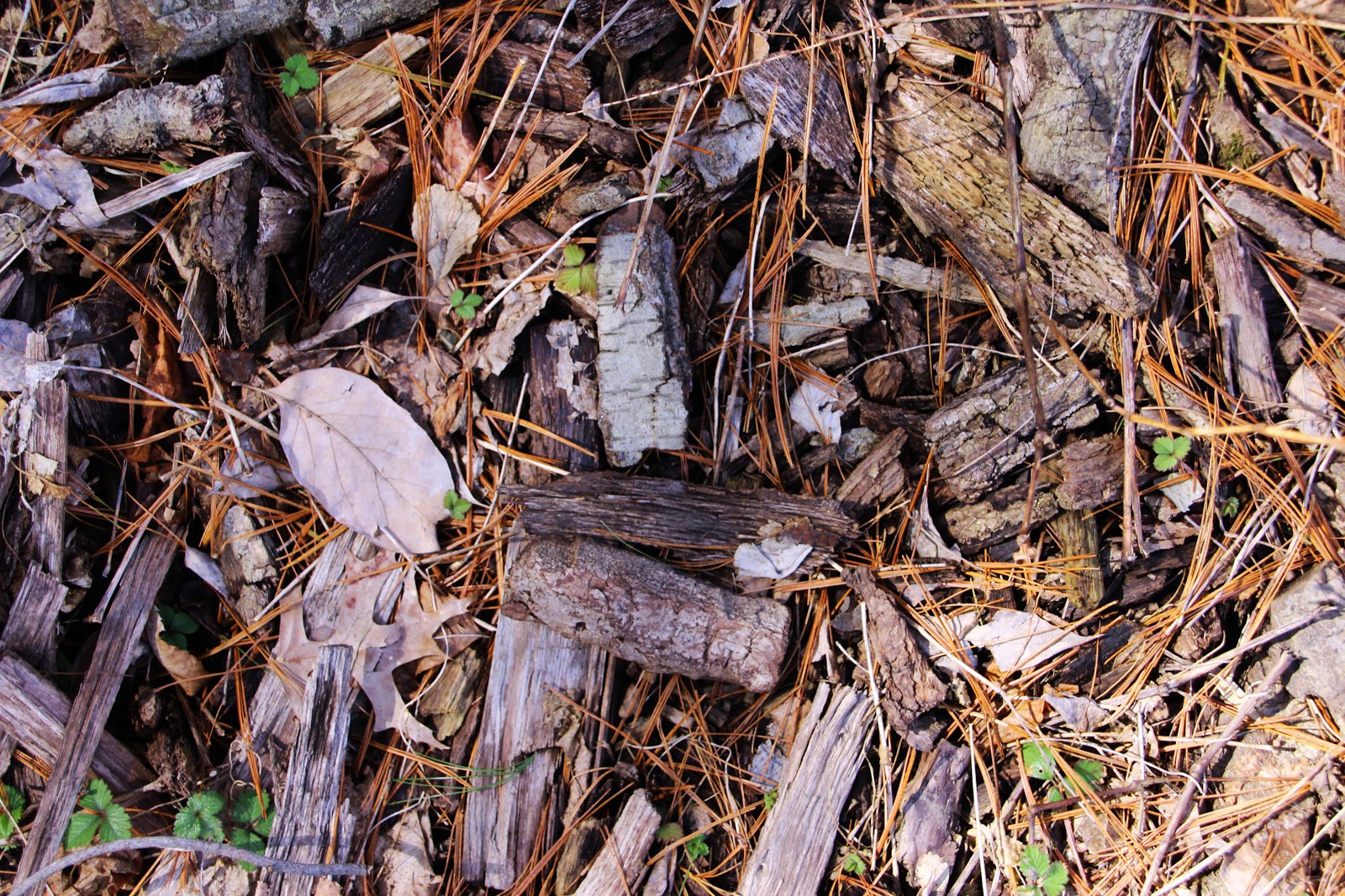 Ryan Perry ART 290: Thunderstorm Textures