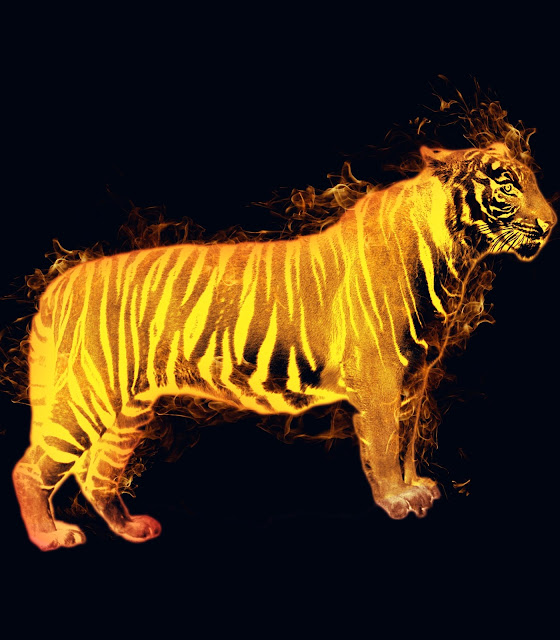 Praveen's Photoshop works: Amazing Tiger image manipulation.