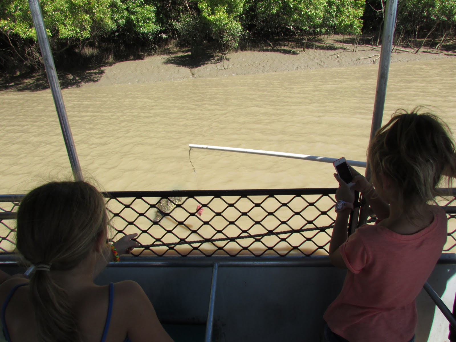 Scheffer Family's Great Aussie Adventure - 2013: 4 June 2013 – Humpty ...