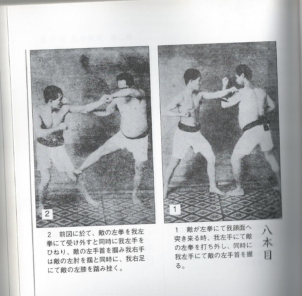 Isshin - Concentration the Art: The Possible Motobu Choki SunNuSu Kata ...