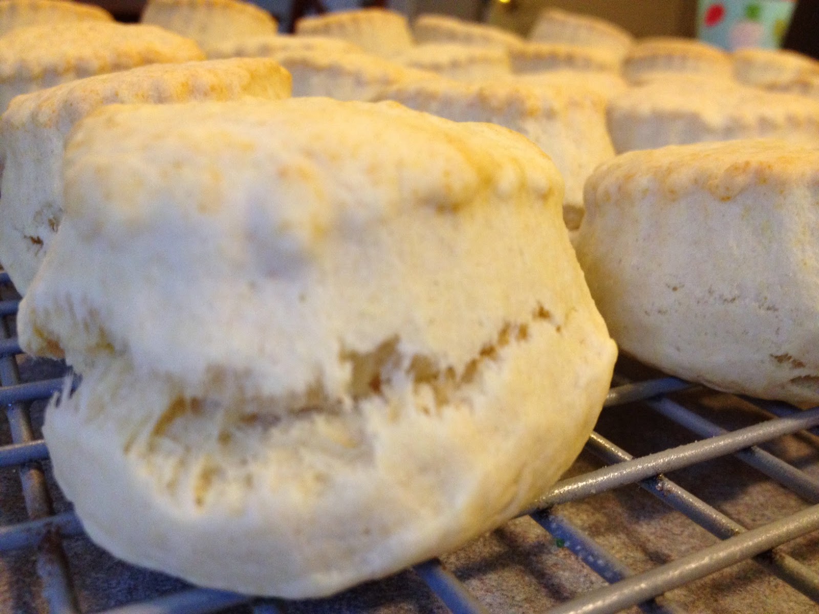 J Bird Baker: Best Ever 4 Ingredient Biscuits