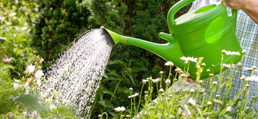 riega tus plantas de forma automatica