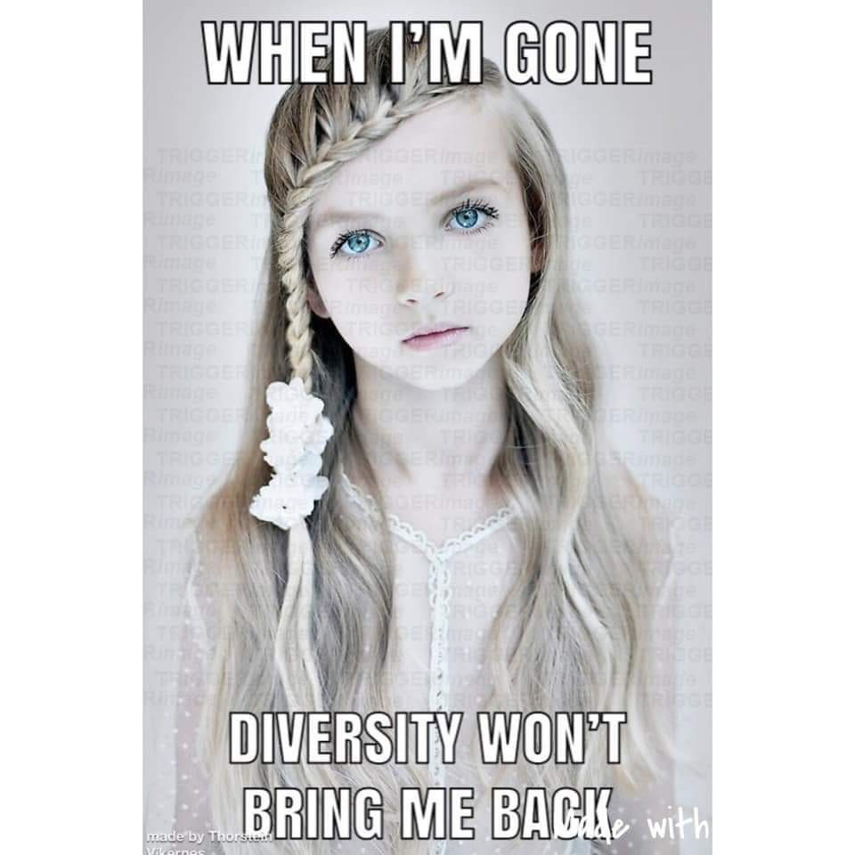 Politically Incorrect Memes