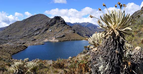 PARAMO DE SANTURBAN - Sofia Berjan -Raul Giraldo