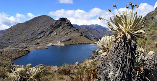 PARAMO DE SANTURBAN - Sofia Berjan -Raul Giraldo: Fotos del Paramo