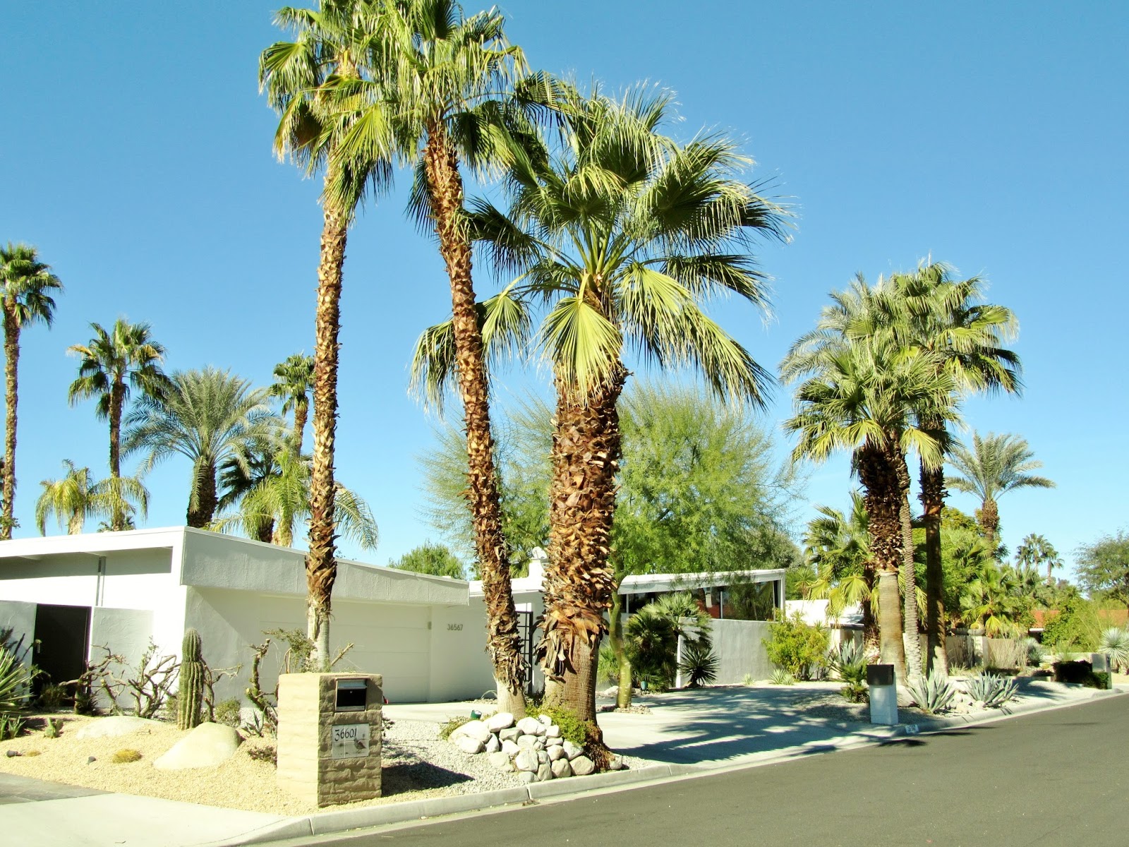 The Krisel Connection: Valley of the Sun Estates - Rancho Mirage, CA
