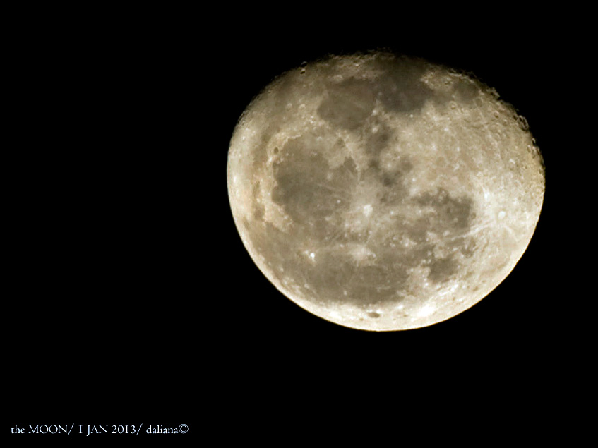 Photographis: January 2013