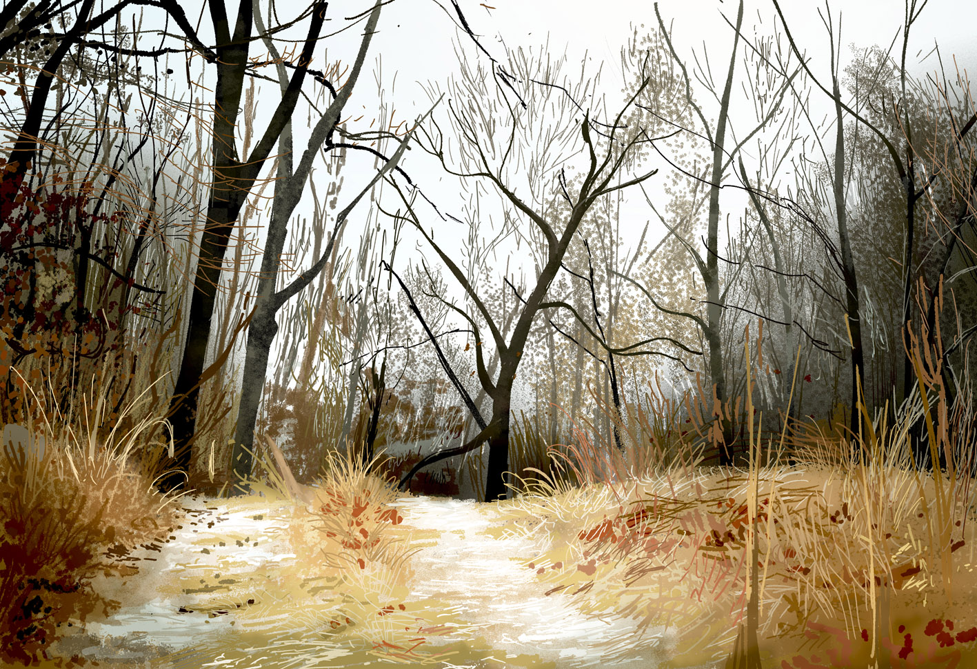 pascal campion: Test