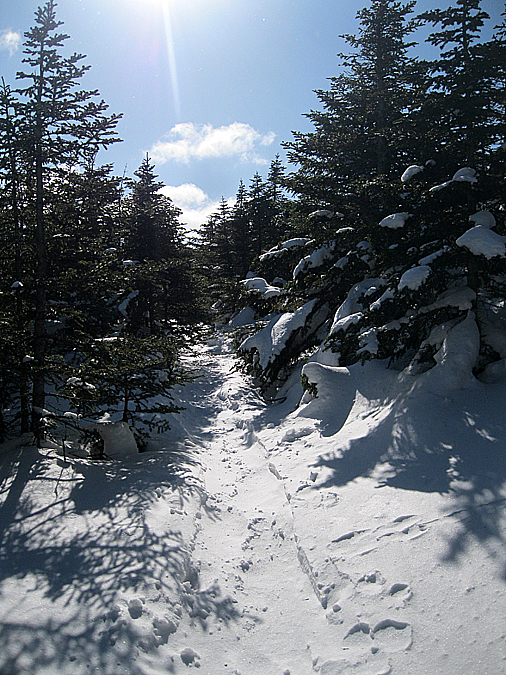 Hiking in the White Mountains: Still Winter in Franconia Notch