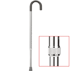 The Sciences Of Human Movements,Go Kinesiology!: Keep you moving ...