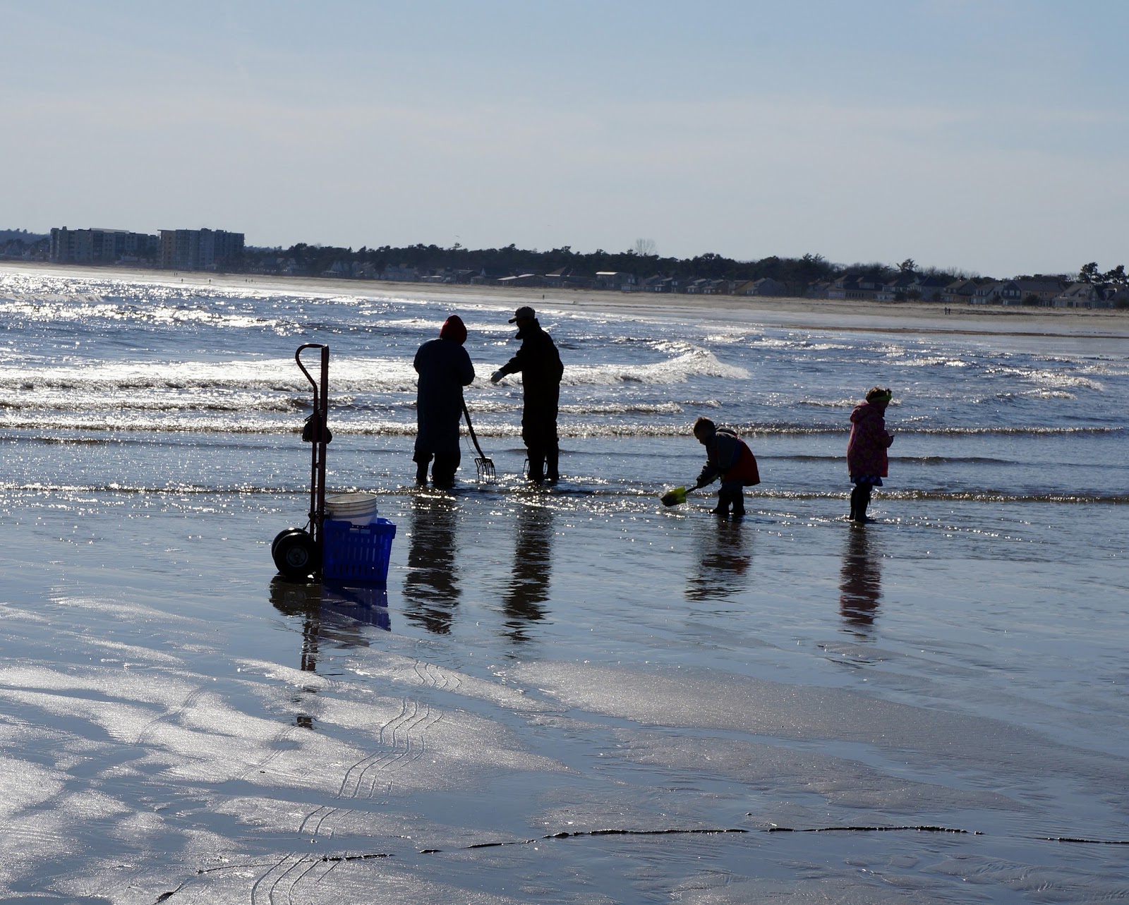 The Little Legers: Clam Digging