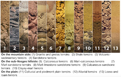 EnoViti: Alsace Part 2: The Geology - The Layout of the Land