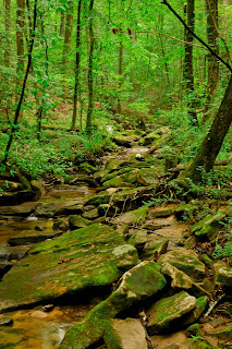 One State, Two Boys: Moss Rock Preserve - Hoover, Alabama - July 15, 2011
