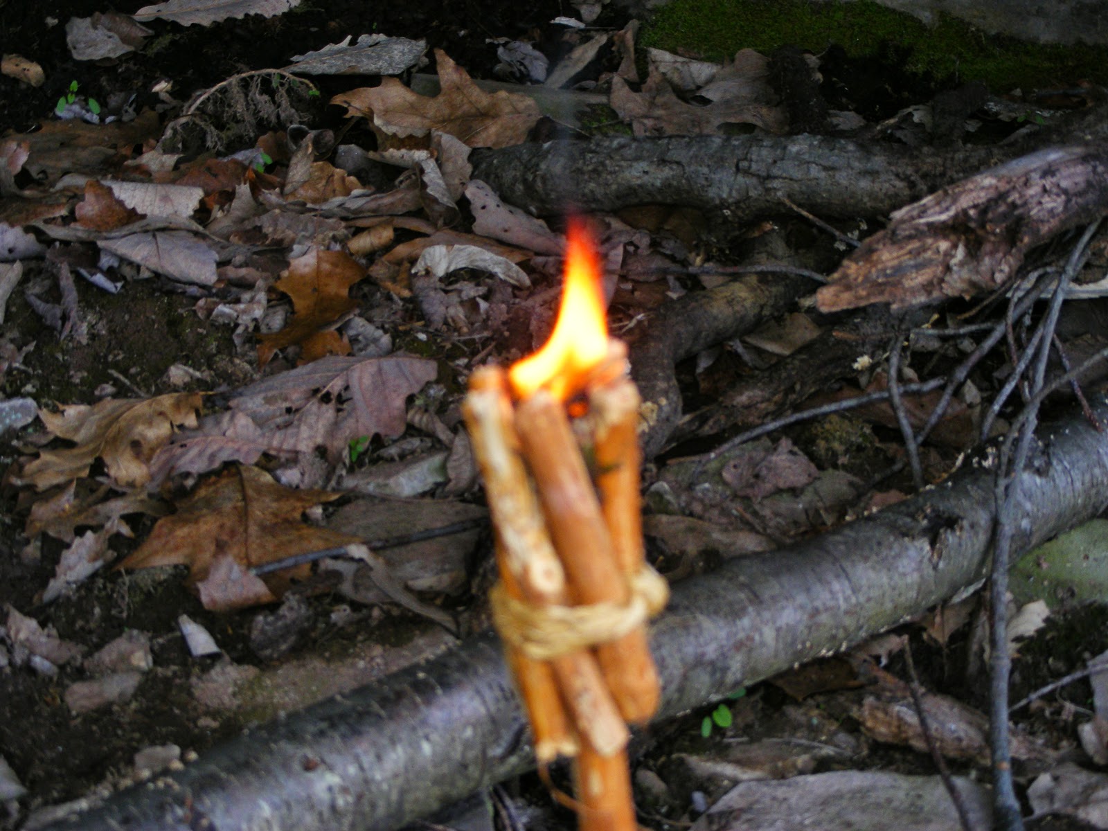 Mountain Mann Survival: Making A Pine Pitch Torch