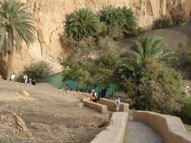 L’oasis d’El Hamma , une beauté à ne pas rater !! ~ Tunisie Tourisme ...