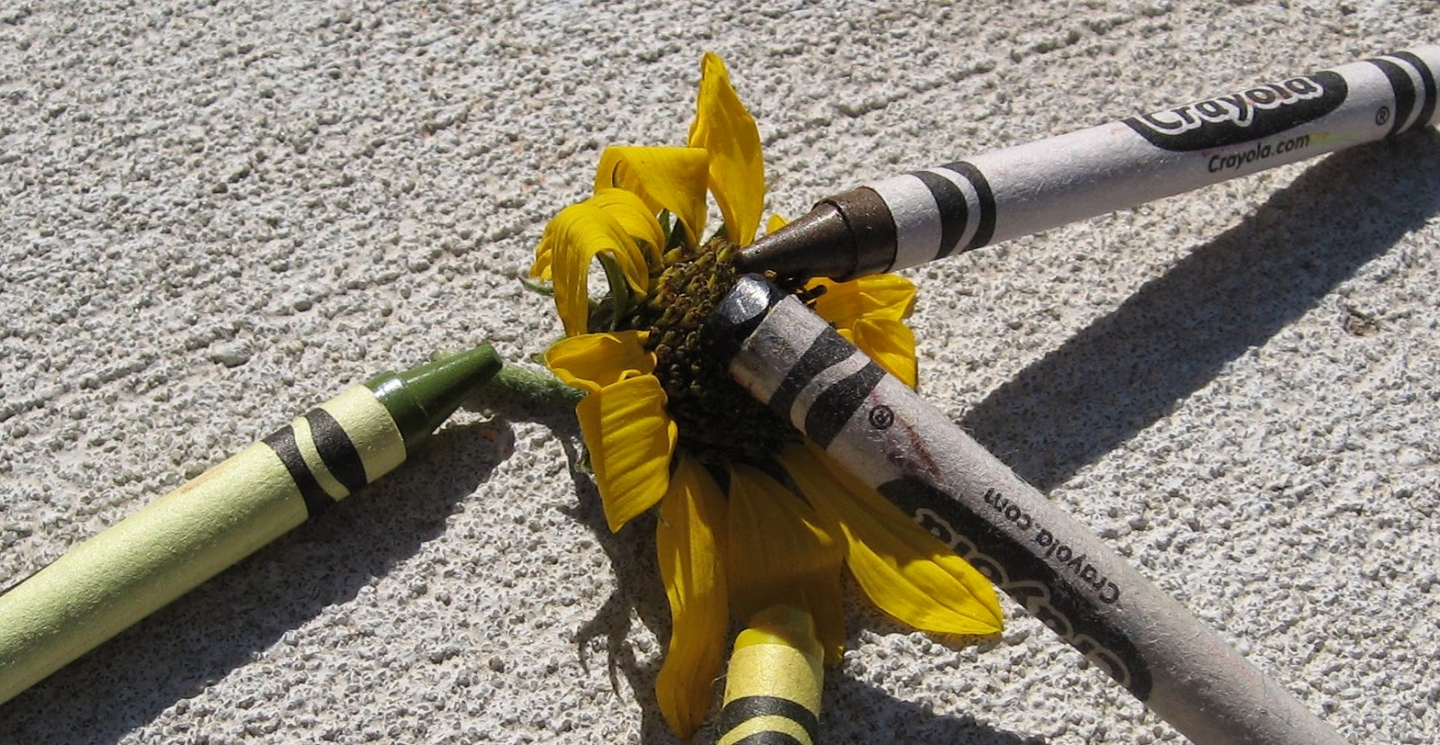 Almost Unschoolers: Fall Crayon Color Matching - Sunflowers