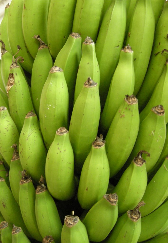 Caoba Farms - Organic Farming in Antigua Guatemala: Our Products