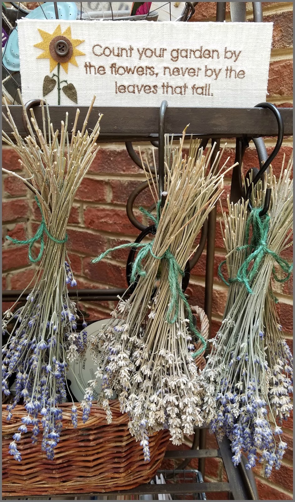 Panoply: Inspiration from Subtle, Seasonal Signs