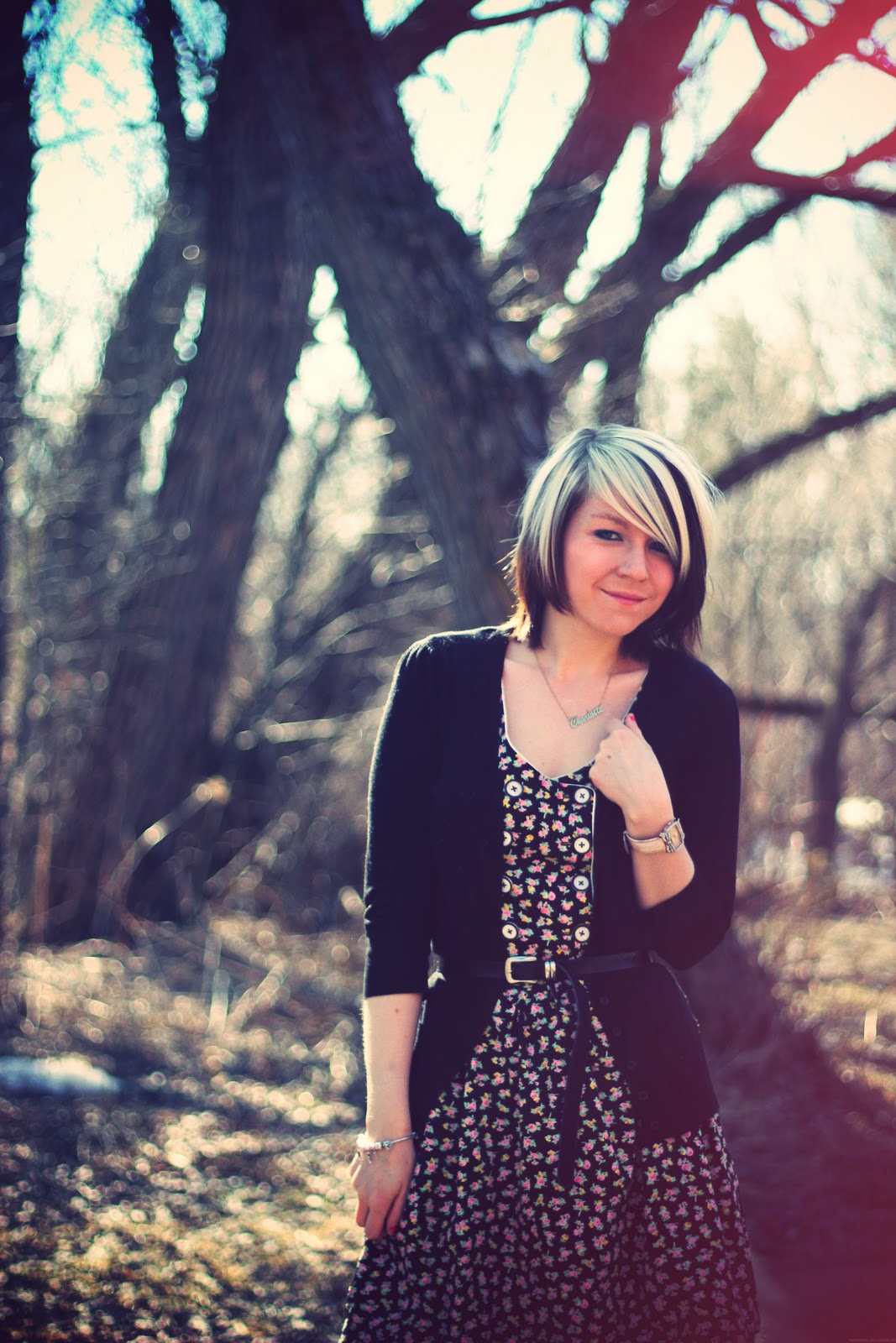 The Styling Dutchman