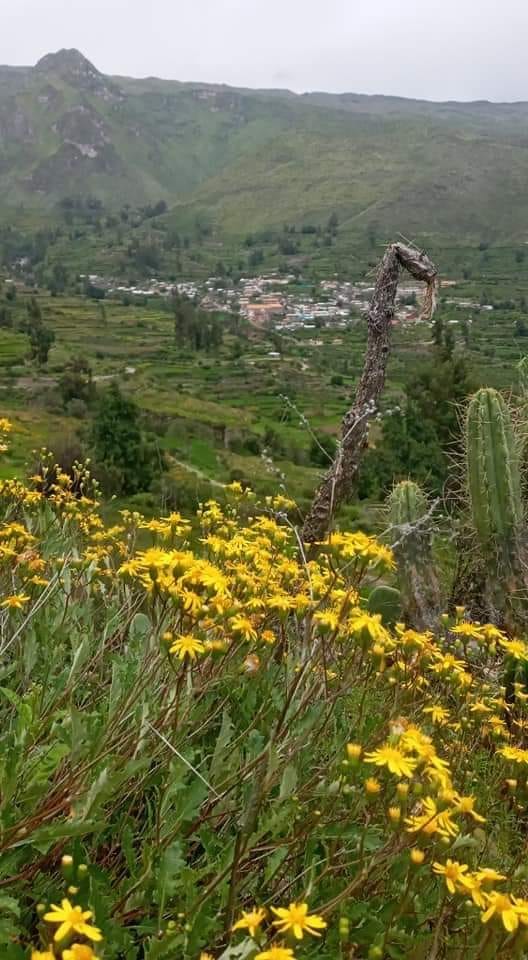 CLUB SOCIAL CHACHAS: Fotos turísticas de Chachas tomadas por nuestro ...