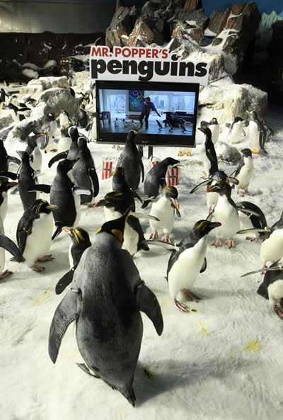 JOUSeries: Los pingüinos de mr.popper.