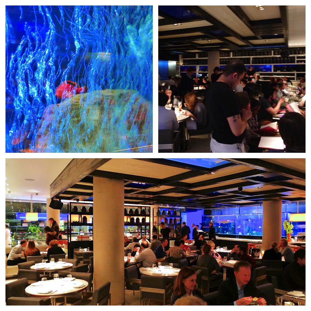 HUNGRY HOSS: Yauatcha, London