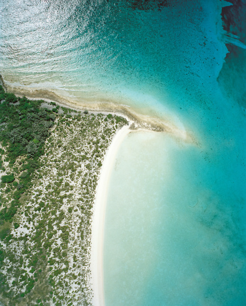 Top Pinterest photos