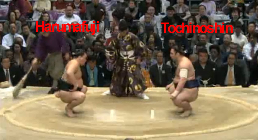 ProWresBlog: Sumo March Haru Basho Day 2