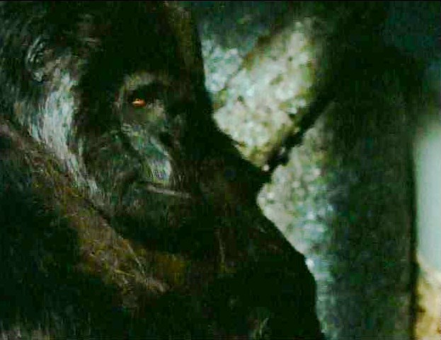 John Kenneth Muir's Reflections on Cult Movies and Classic TV: The Cult ...