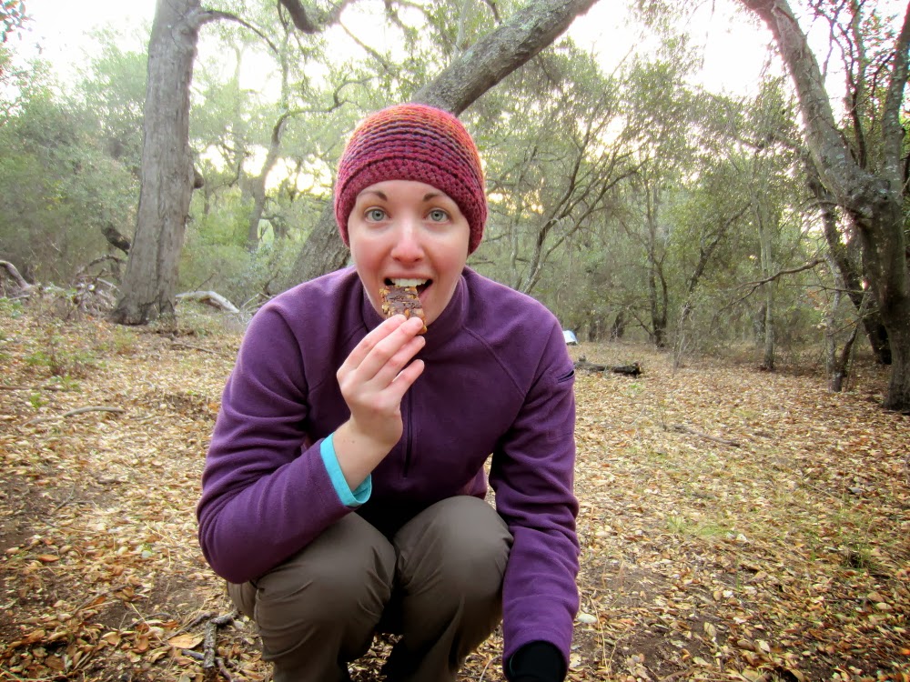 Cricket in the Ear: Sara Bars