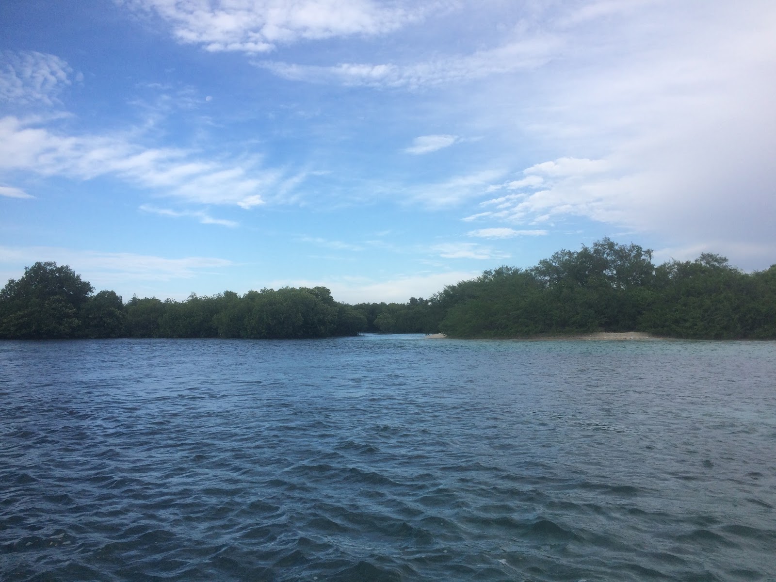 Sta. Cruz Island Mangrove-Lagoon & Stingless Jellyfish @ Sta. Cruz ...