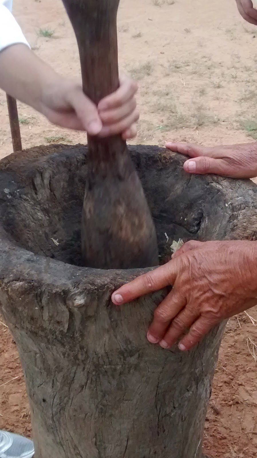 VIVENCIAS LLANERAS DEL ABUELO: Pisillo de Chigüire Tradicional