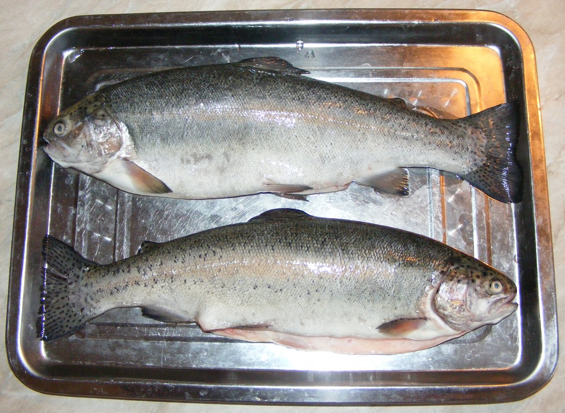 Pastrav la gratar | Preparatedevis.ro