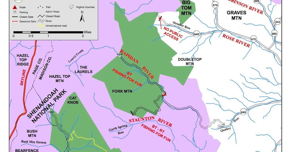 Rapidan Wildlife Management Area