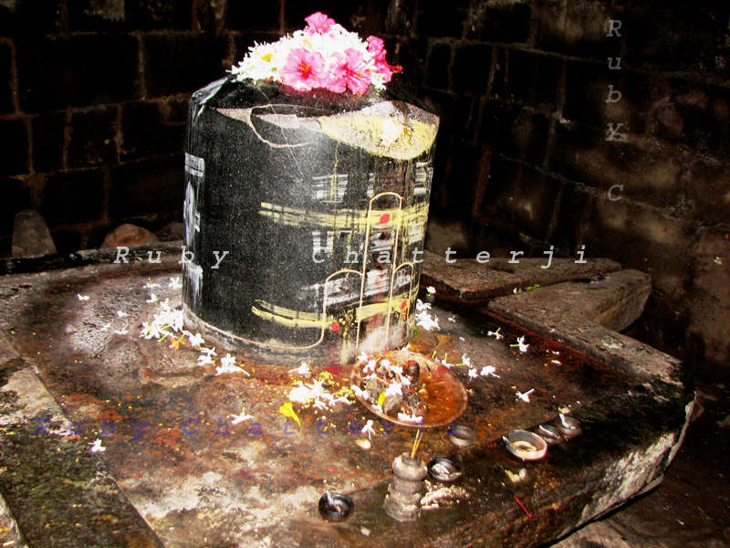 This Prism !: IMAGES OF 'PURUSHA AND PRAKRITI'