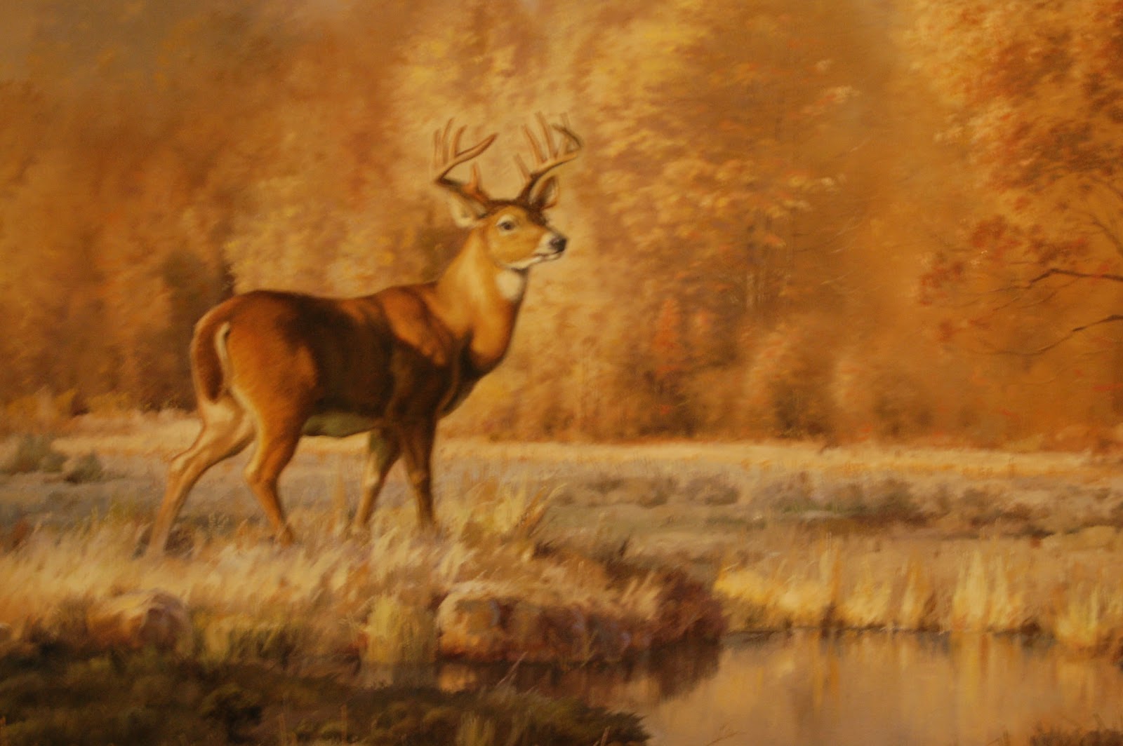 Mike Jaroszko: Autumn