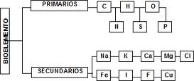 BIOELEMENTOS: CLASIFICACION DE BIOLEMENTOS