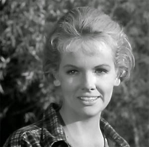 Shadows on the Wall: An Online Dark Shadows Fanzine: Focus on Diana Millay