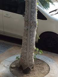 Αμάν ρε Μάνα semedakia - Η ΔΙΑΔΡΟΜΗ