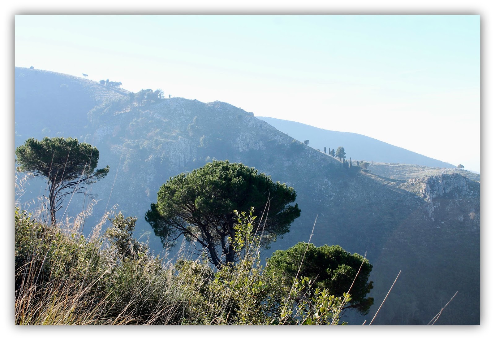 Monte Massico ed il territorio tra i fiumi Garigliano e Volturno: Monte ...