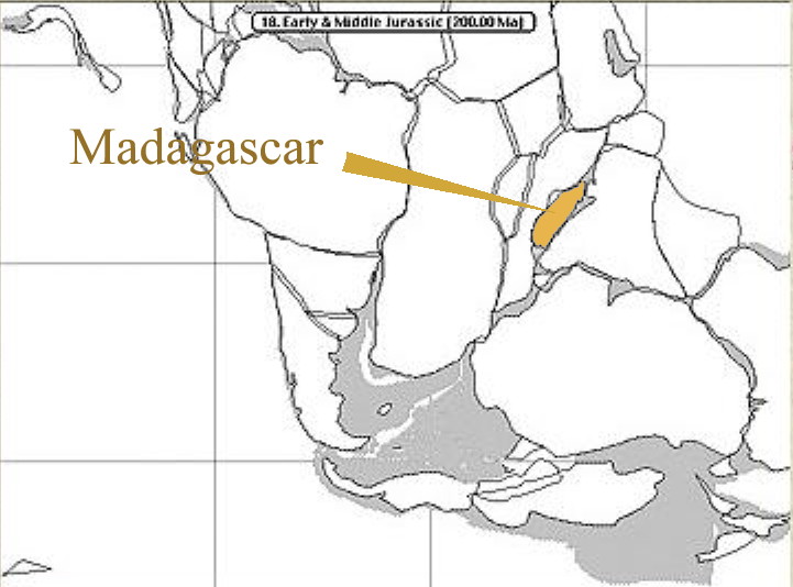 Don Findlay's Expanding Earth Blog: Madagascar to Africa - a seamless fit.