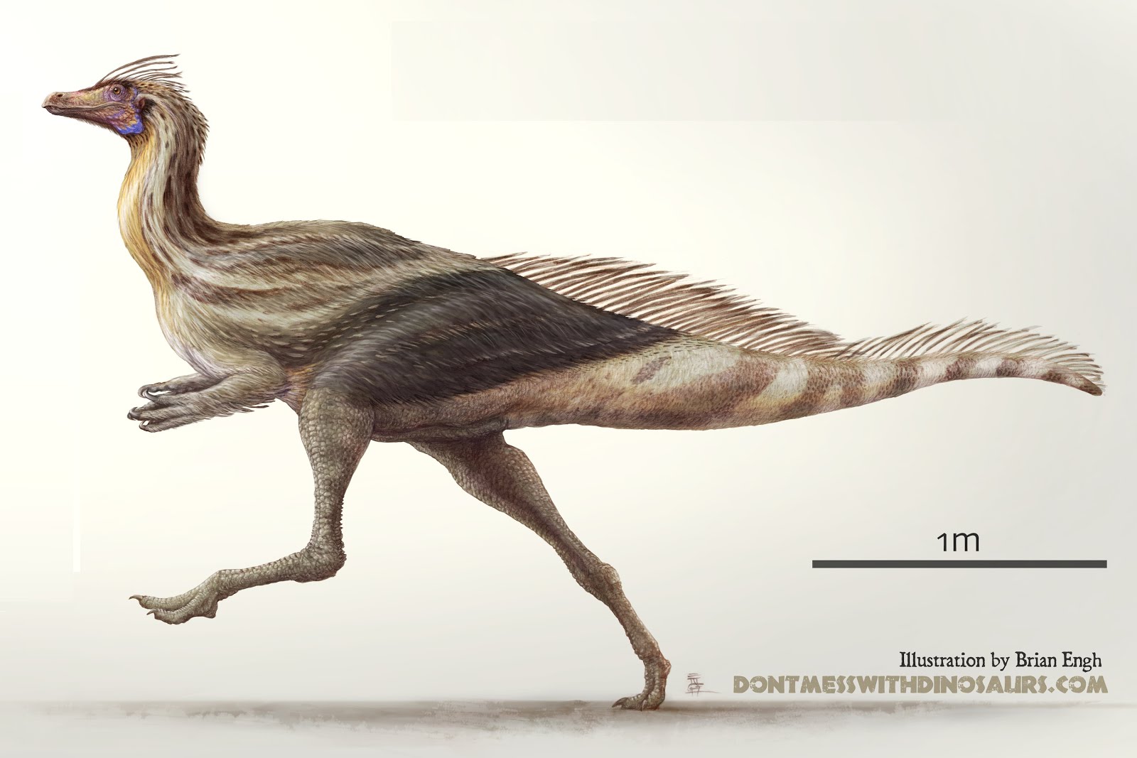 Species New to Science: [Paleontology • 2018] Arkansaurus fridayi • A ...