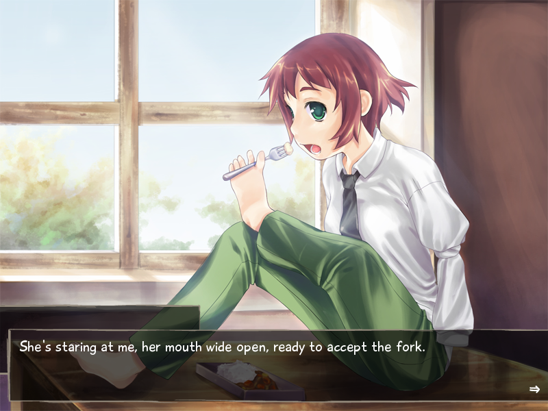 Shooting Star Dreamer: Visual Novel: Katawa Shoujo (Disability Girls)