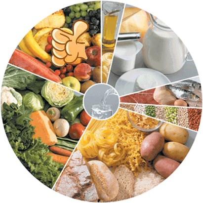 Gifs Animados 7: Gifs animados da roda dos alimentos