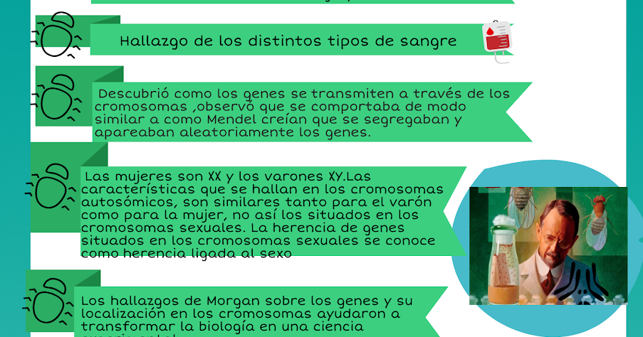 Mi Laberinto Cientifico (Portafolio de evidencias): Infografía de ...